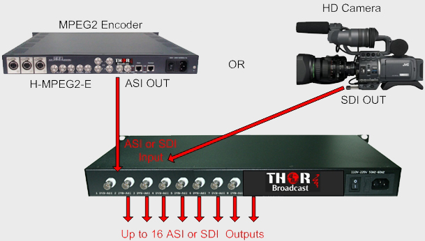 Managed 16 Ch ASI Distribution Amplifier :: Thorbroadcast