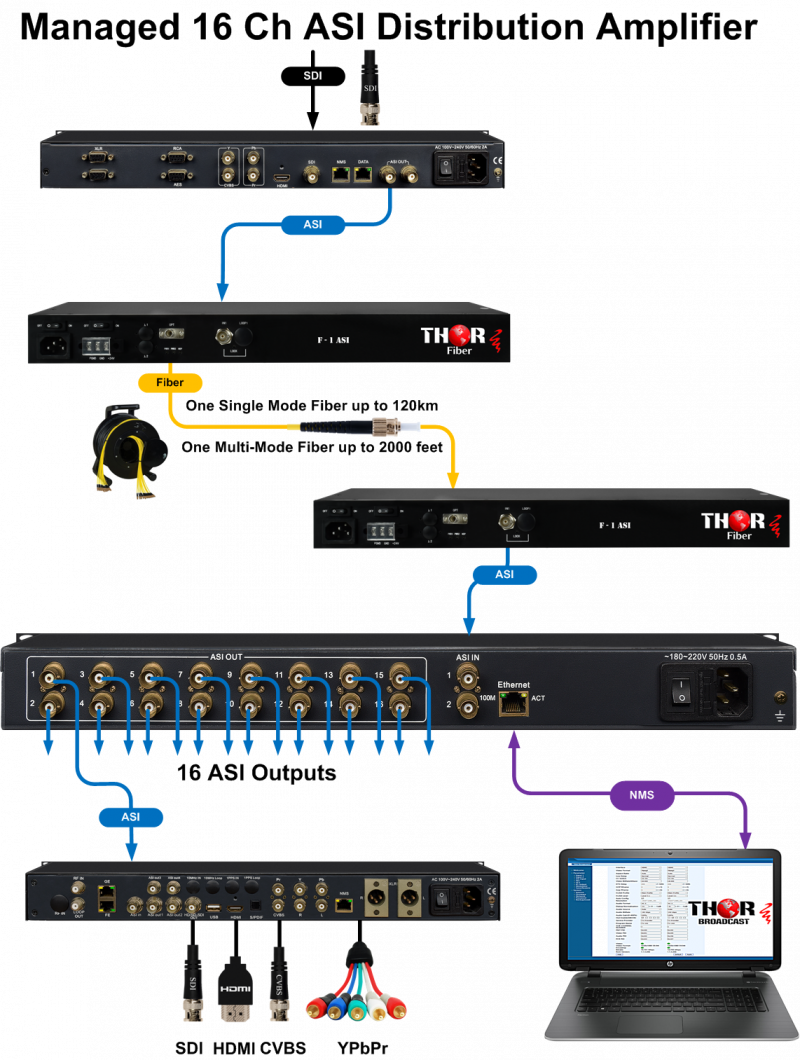 ASI Splitter Signal Distribution Amplifier - Thor Broadcast